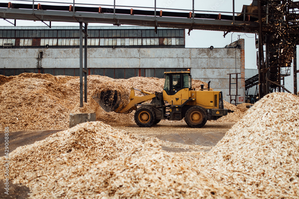 the excavator loads wood chips. the large bucket of the conveyor loads ...