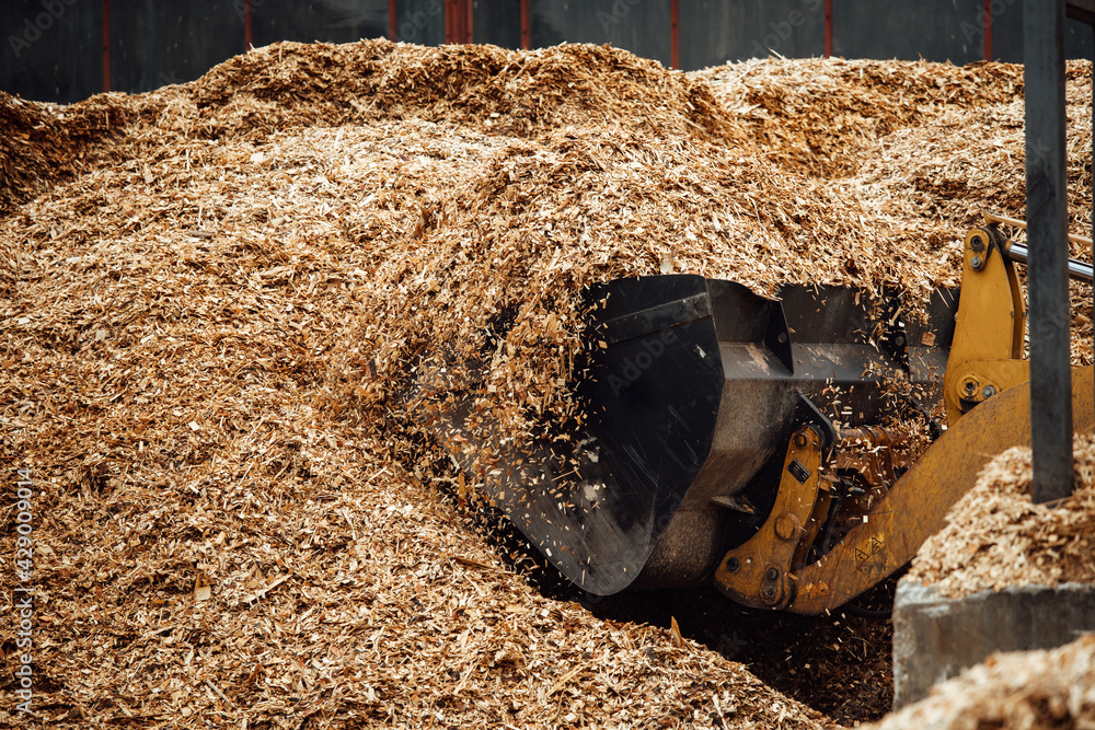 Fotografia do Stock: the excavator loads wood chips. the large bucket ...