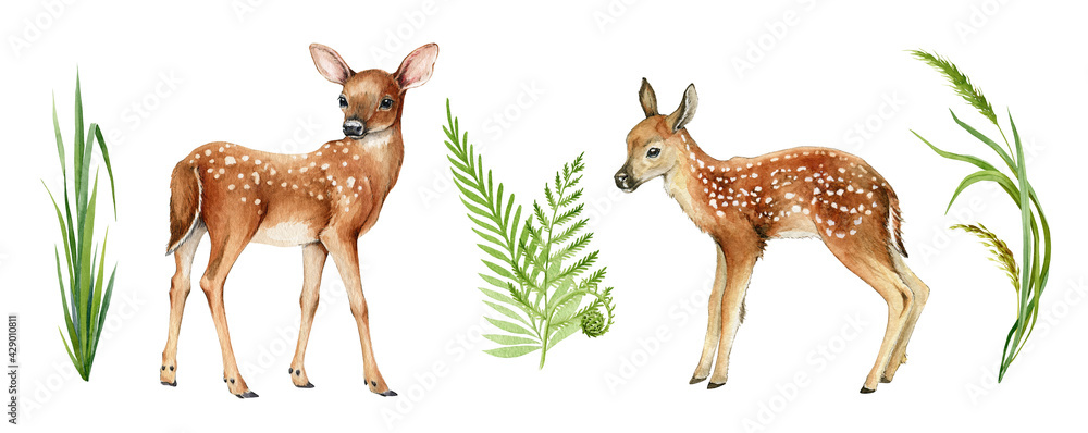 Two forest small deers. Beautiful fawn image. Forest and park wildlife ...