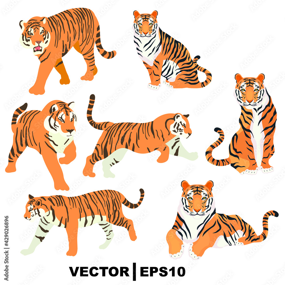 set of tiger on white background. Stock Vector | Adobe Stock