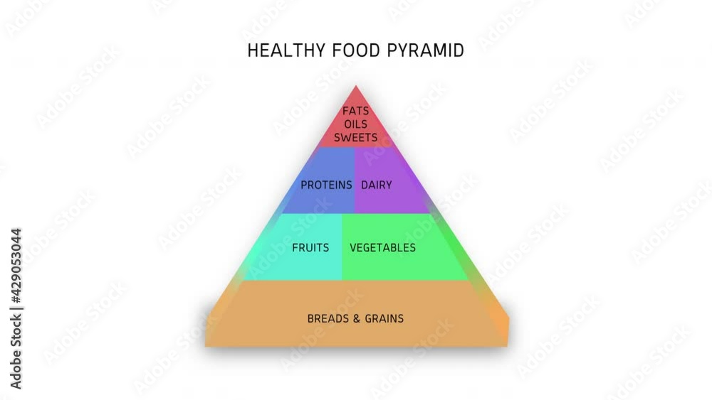 Food Pyramid Animation on White Background and Green Screen vídeo do ...