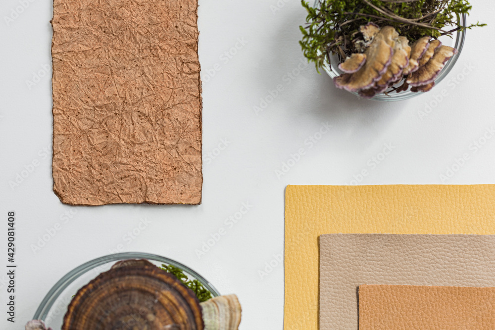 Vegan leather sample, leather from mushroom mycelium, eco friendly ...