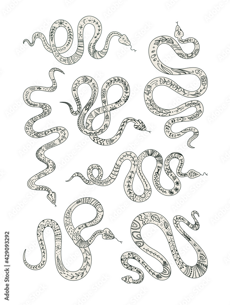 Vector set of snakes totem animal graphic elements for logo, tattoo or ...