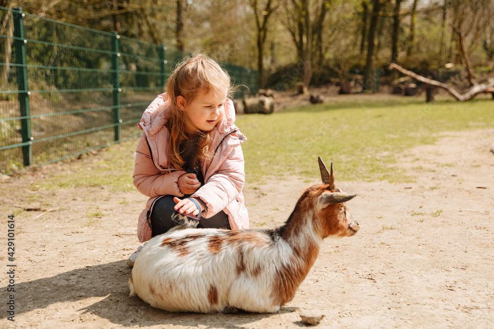 Little girl pats a goat and is happy. Child takes care of an animal ...