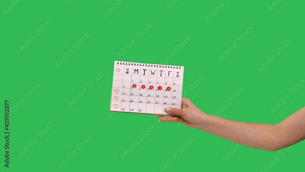 Female hand hold woman periods calendar for checking menstruation days ...