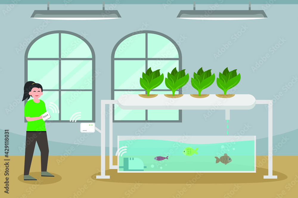Hydroponic vector concept. Woman controlling hydroponic system at home ...