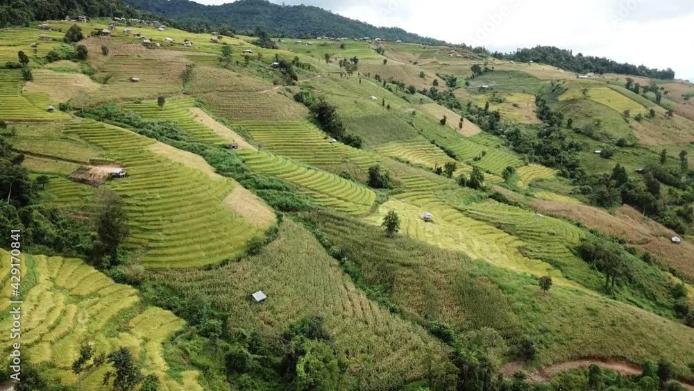 Aerial view of Ban Pa Pong Piang rice terraces in Chiang Mai province ...