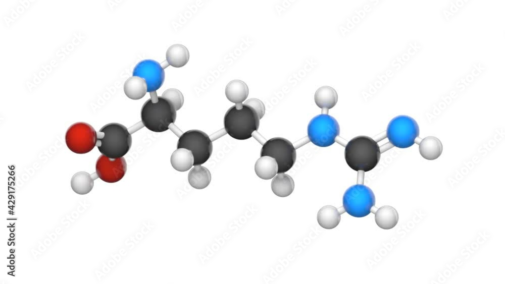 Arginine (molecular formula: C6H14N4O2) is an essential amino acid in ...
