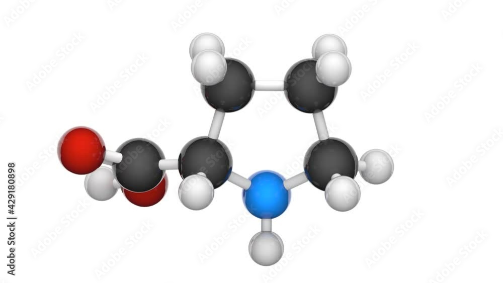 Proline (symbol Pro or P) is a cyclic, nonessential amino acid in ...