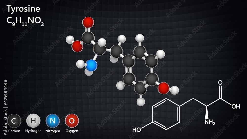 L-Tyrosine or tyrosine (symbol Tyr or Y) is an amino acid that is used ...