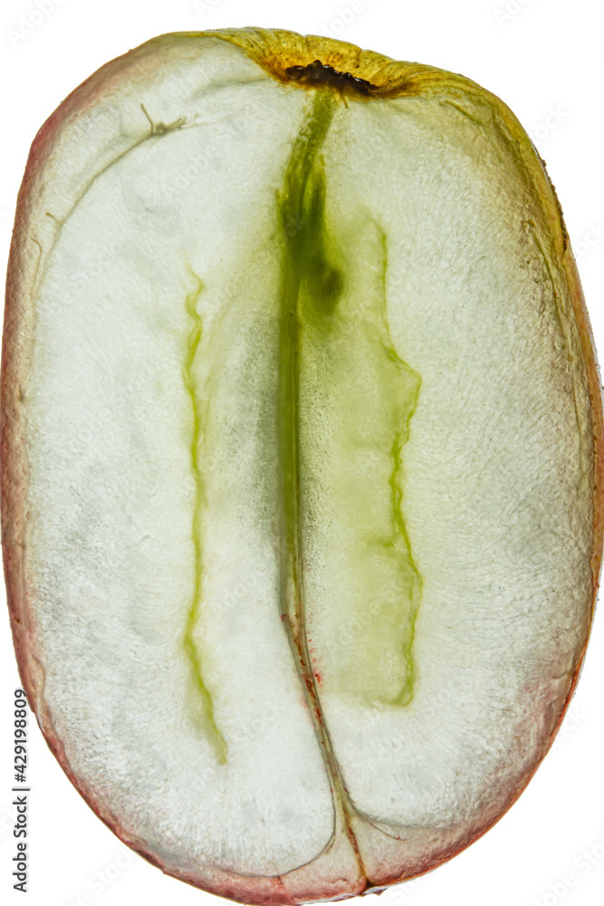 Inside Of Grape