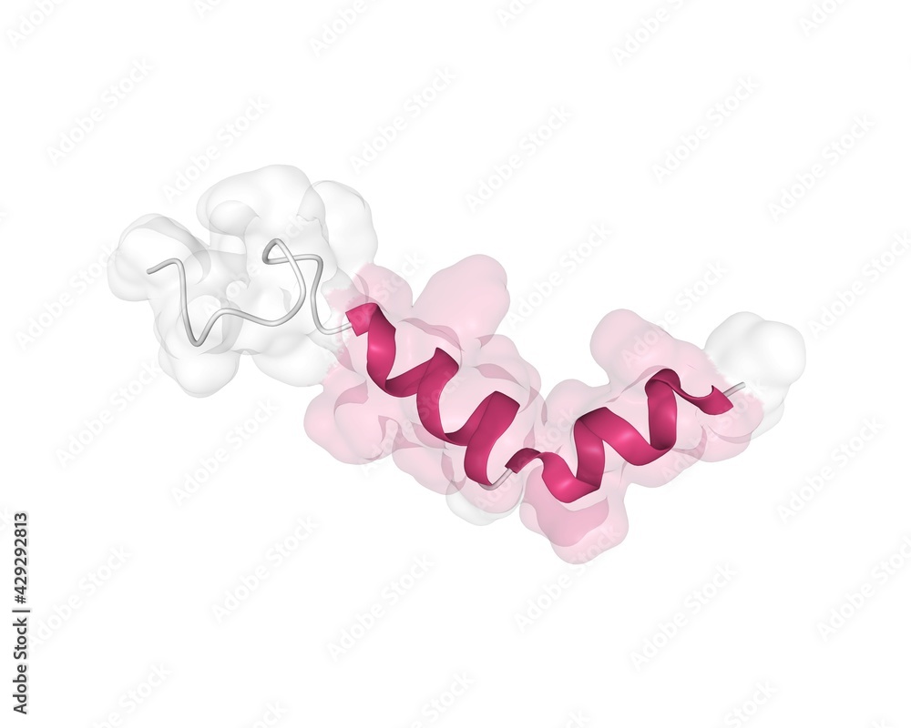 Solution structure of human hormone orexin-A: regulator of appetite and ...