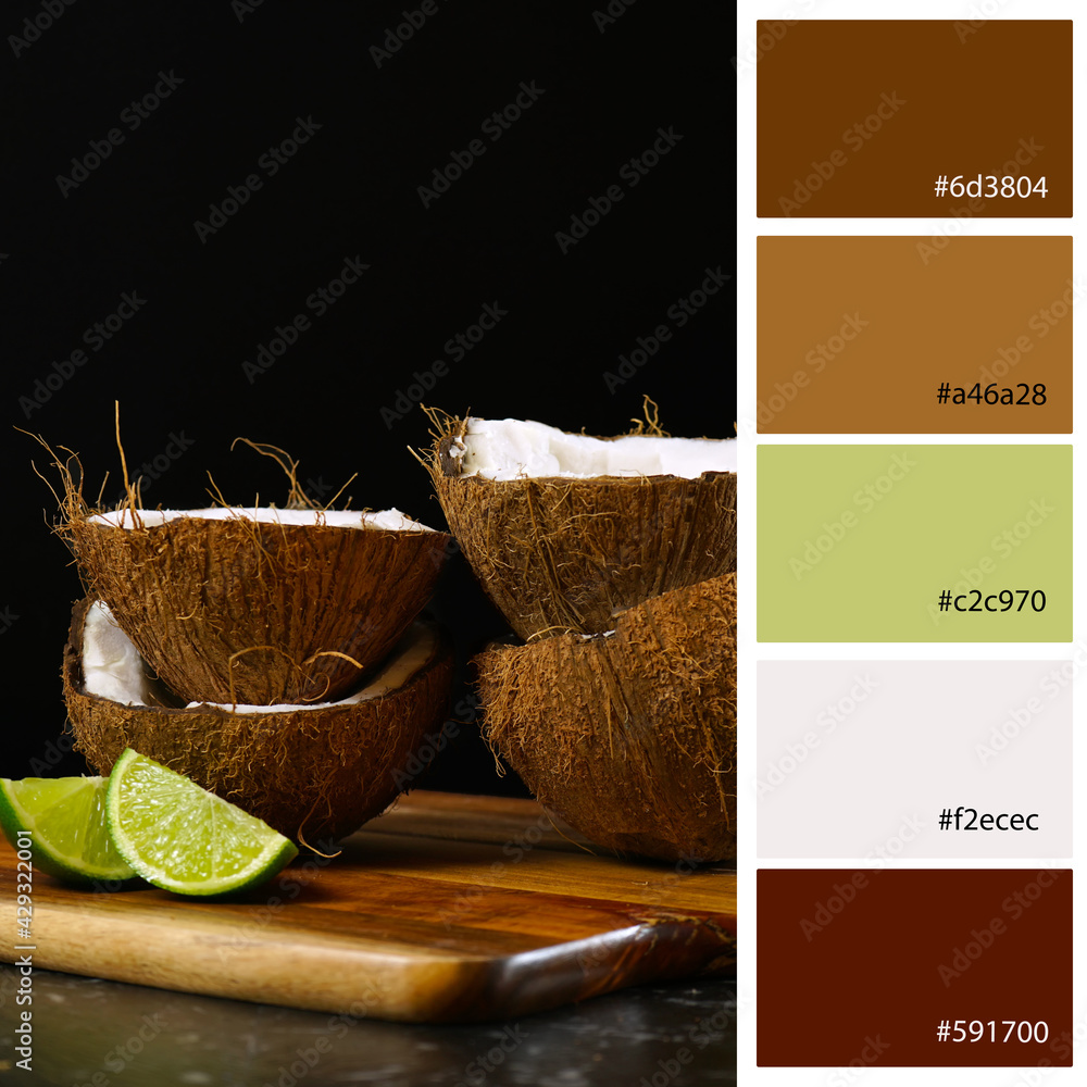 Designer Pack Color Palette inspired by natural fresh coconuts ...