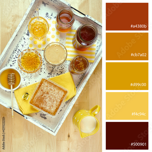 Designer Pack Color Palette inspired by the different types and colors ...