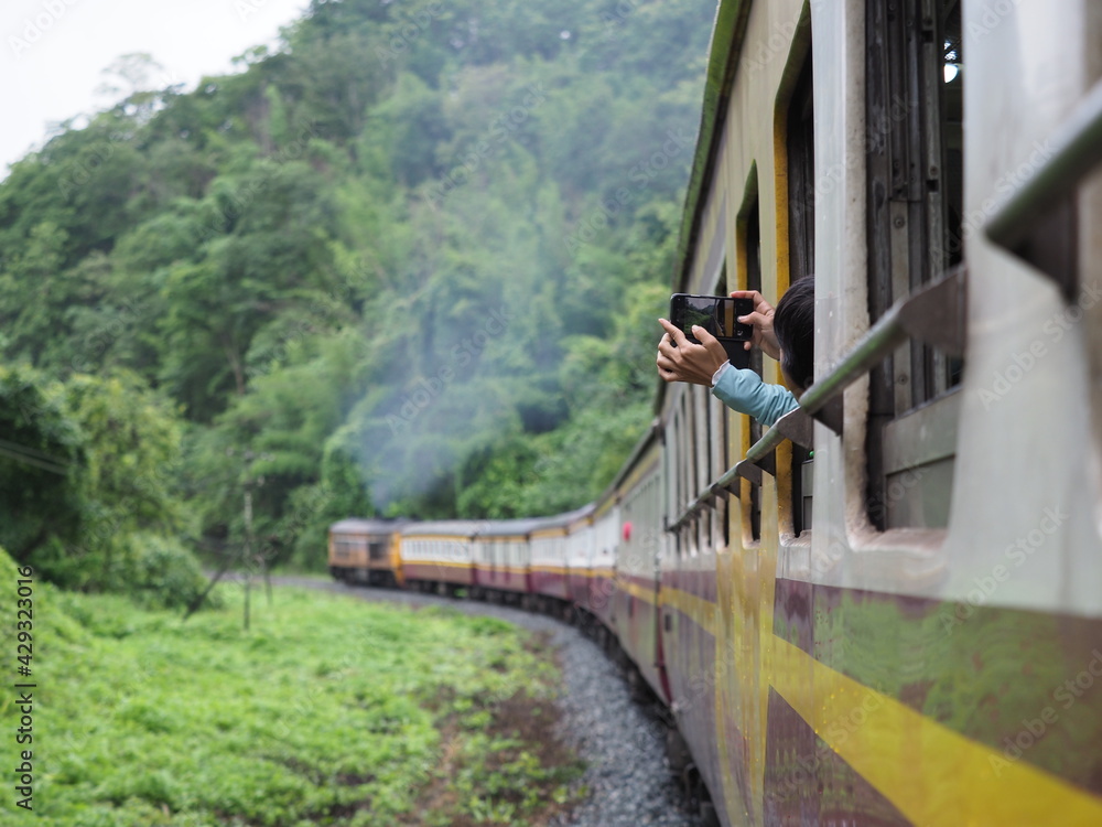 Group of wild elephant is eating salt licks in the middle of a ...