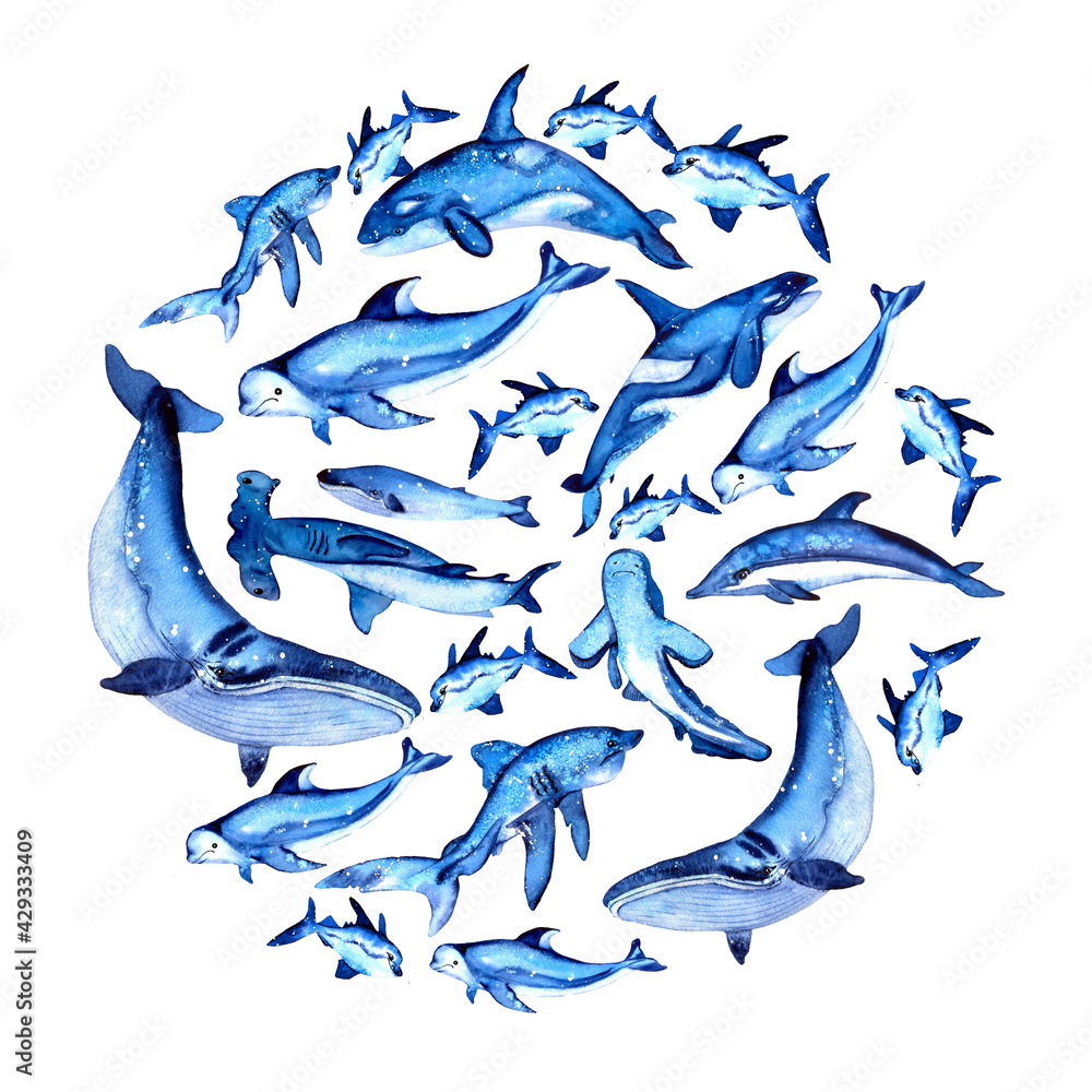 Sea animals in a circle. Blue shark, watercolor hand drawn illustration ...