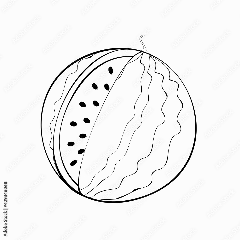 An outline vector illustration of a cut watermelon isolated on white ...