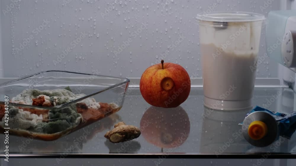 Nothing to eat. Empty fridge with inedible moldy leftovers. Unhealthy ...