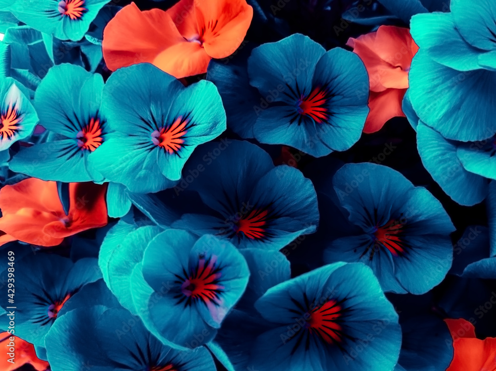 Neon Blue Flowers