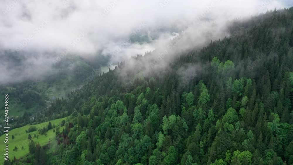 Nature. Fog over the forest in the mountain valley. View from the air ...