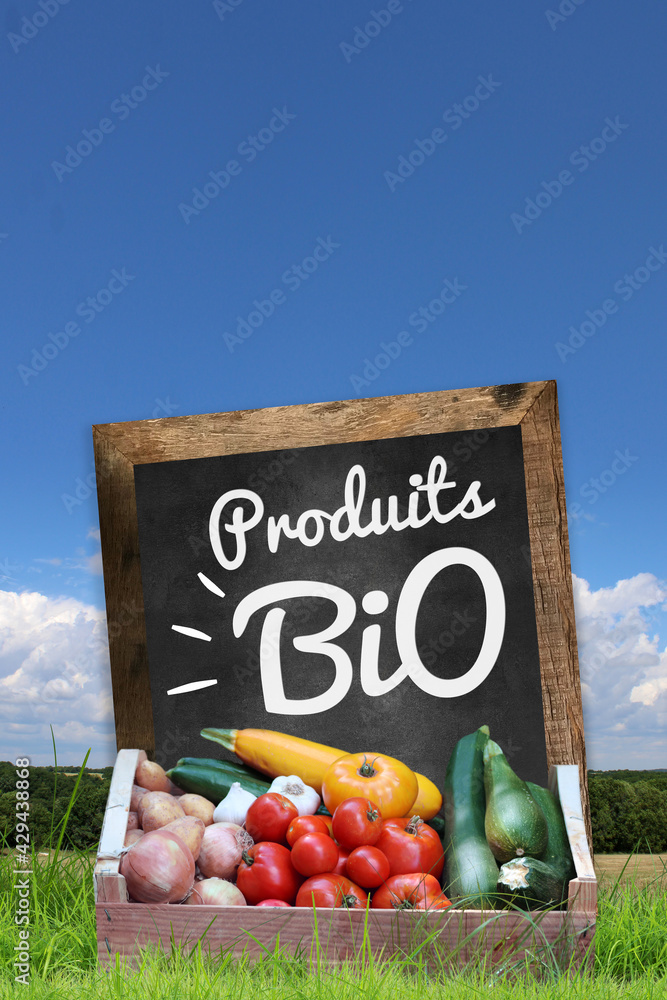 Plateau de légumes bio : tomates, courgettes, oignons... Stock Photo ...