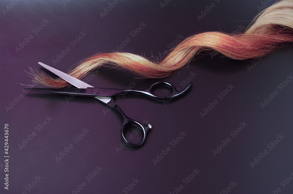 Open Black Scissors With A Strand of Blond Curly Hair On A Dark ...