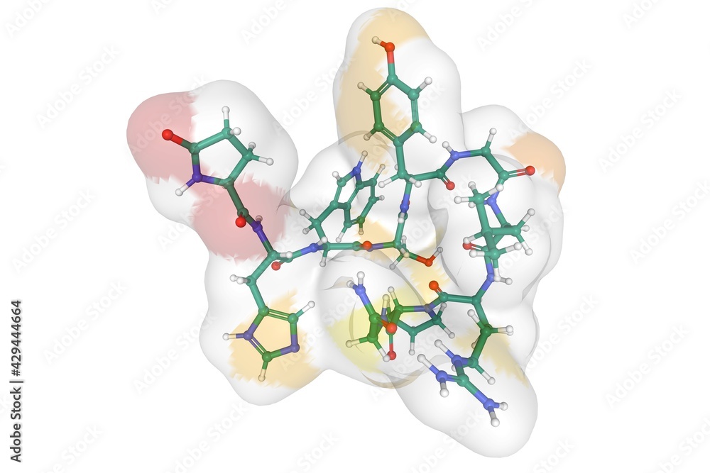 Structure of the human gonadotropin-releasing hormone, 3D ball-and ...