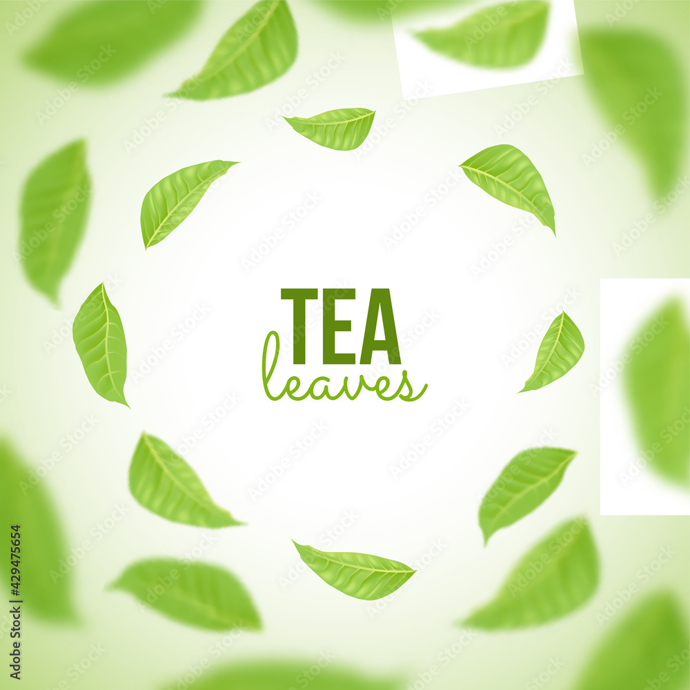 Green herbal tea background with leaves. Leaf flying in motion with ...