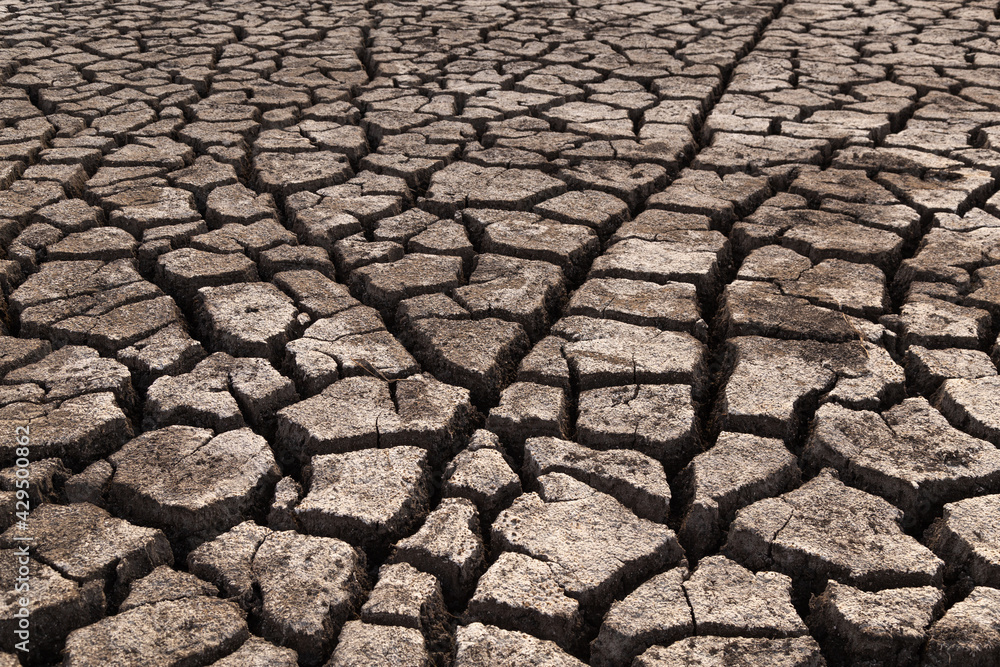Beautiful deep cracks in the ground, background texture. Selective ...