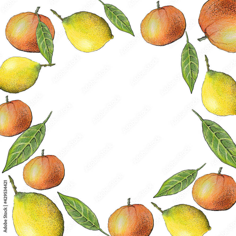 frame made of Citrus Fruits . Lemon Orange border . place for the label ...