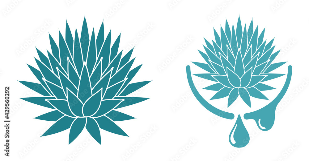 Agave Syrup - - maguey nectar sweetener icon Stock Vector | Adobe Stock