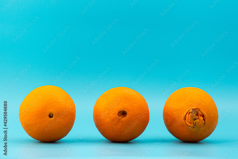 ugly and normal oranges on a blue background, concept of different ...