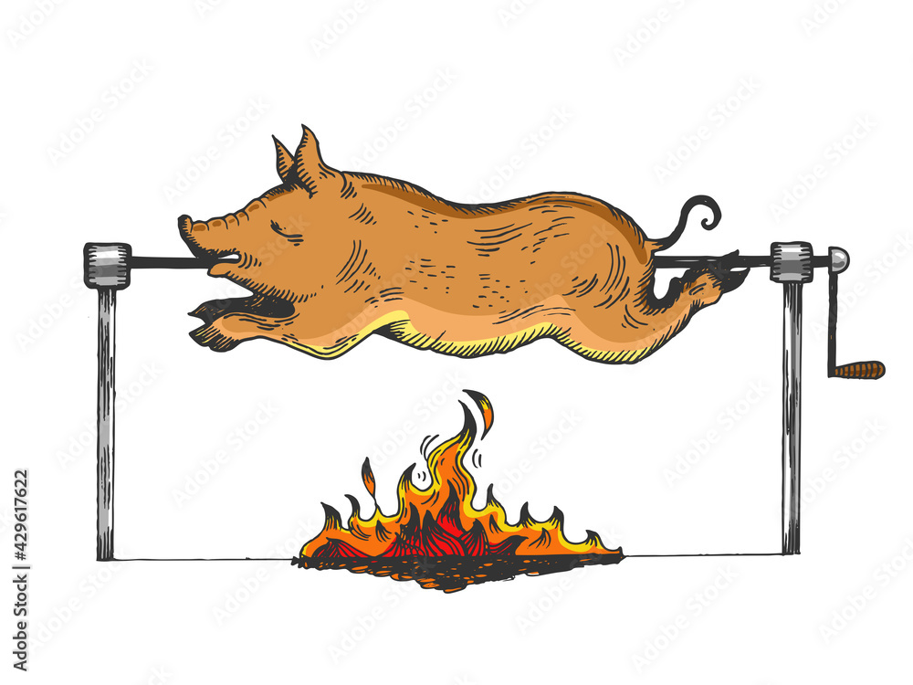 Piggy on spit color sketch engraving vector illustration. Scratch board ...