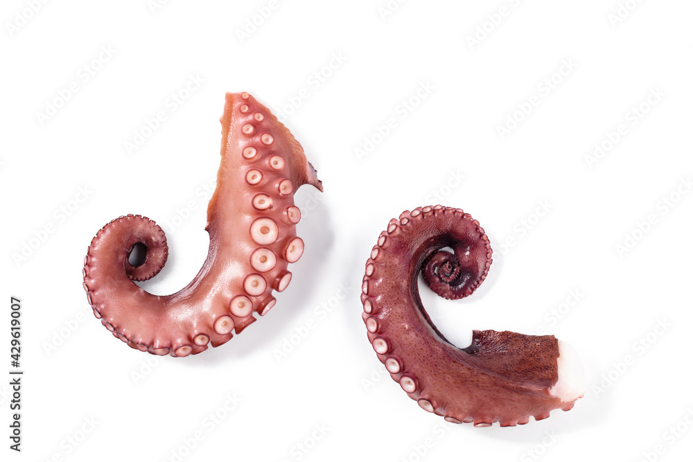Octopus legs in different positions isolated on white Curved long limbs ...