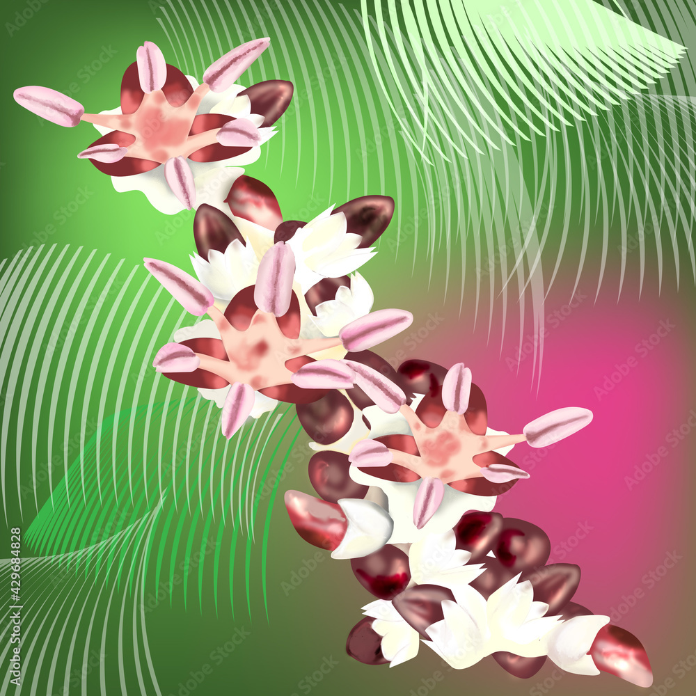 Açaí-flor; Açaí; palmeira; fruto; cor-de-rosa; fruto-amazonas; verde ...