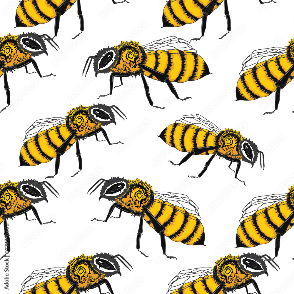 Bee. Pattern. Vector stock illustration. Hand drawing. Colored. Cartoon ...