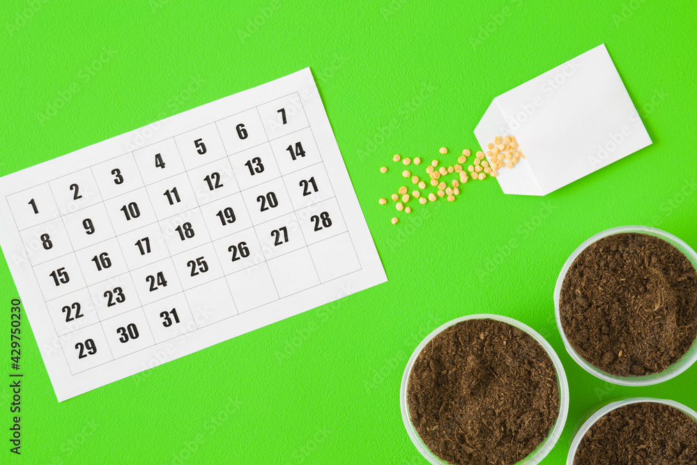 Opened white paper pack of seeds, calendar and full pots of fresh soil ...