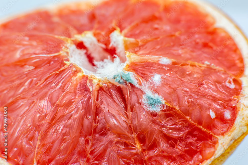 Foto de Moldy orange fruit. Rotten grapefruit. Bad conditions of ...