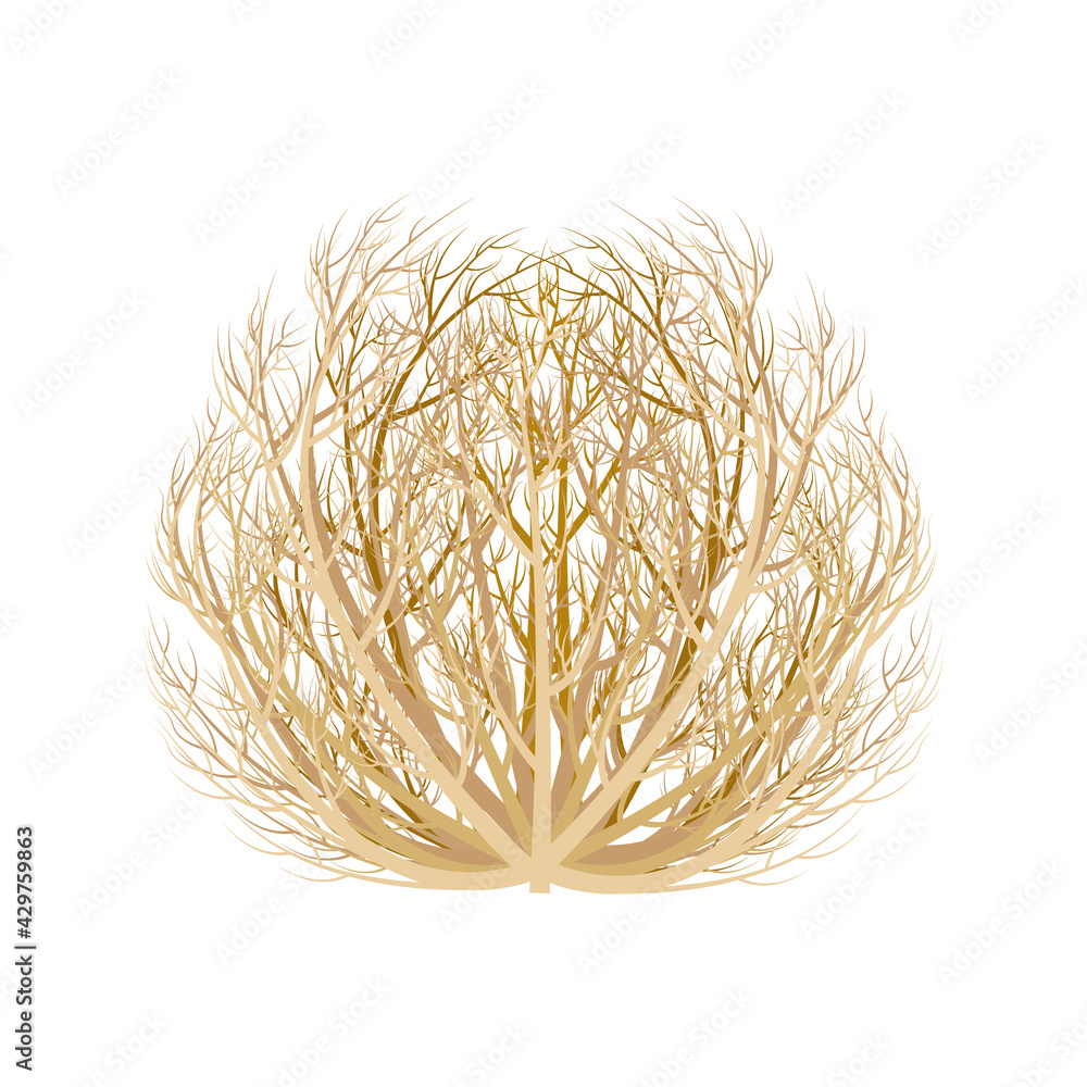 realistic image of tumbleweed dry plant vector illustration isolated on white background. Stock ...