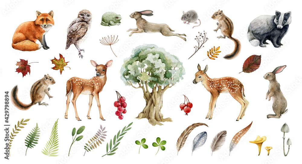 Poster Forest wild animal big set – Wall Art | UkPosters
