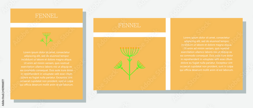 Fennel. Information banner or tag in two designs. Description and ...