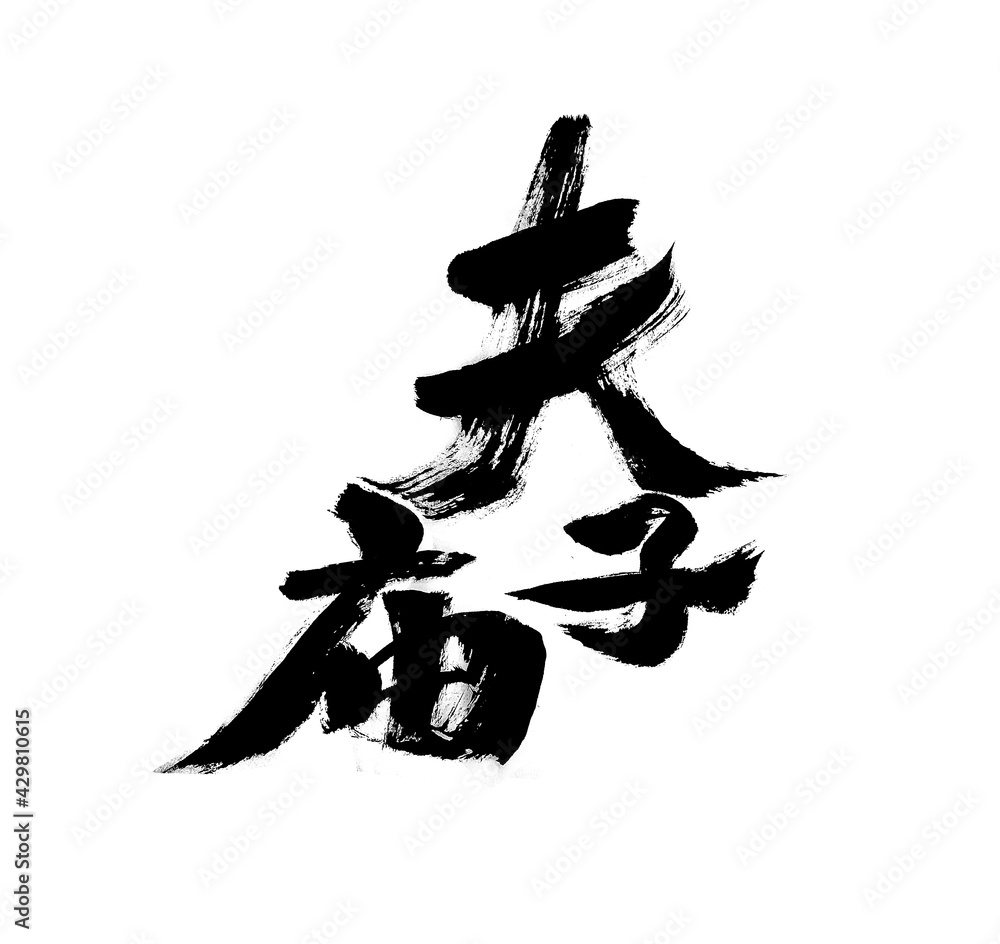 Chinese character "Confucius Temple" handwritten calligraphy font Stock ...