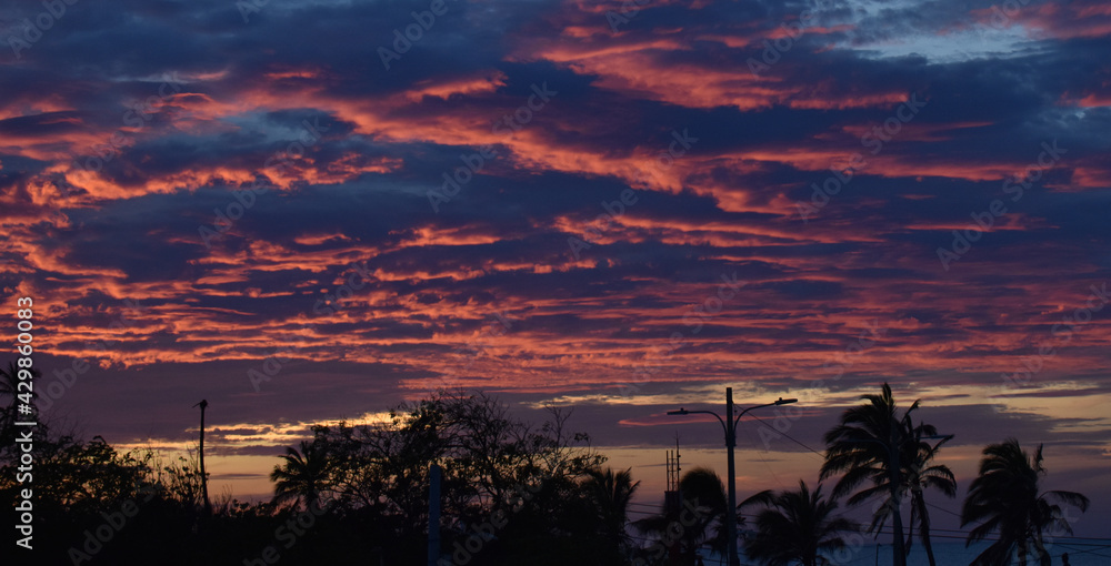 Atardecer violeta y naranja con nubes y árboles Stock Photo | Adobe Stock