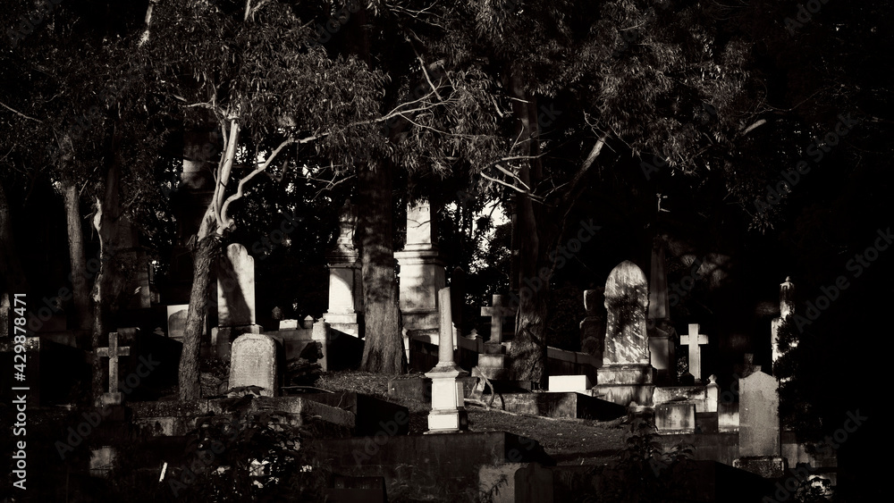 Black and White Eerie and Spooky Cemetery Scene with Headstones ...