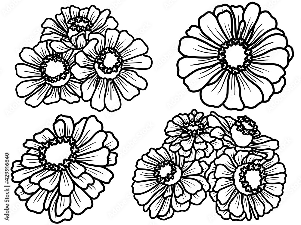 Hand drawing and sketch flower with line art illustration. Stock Vector ...