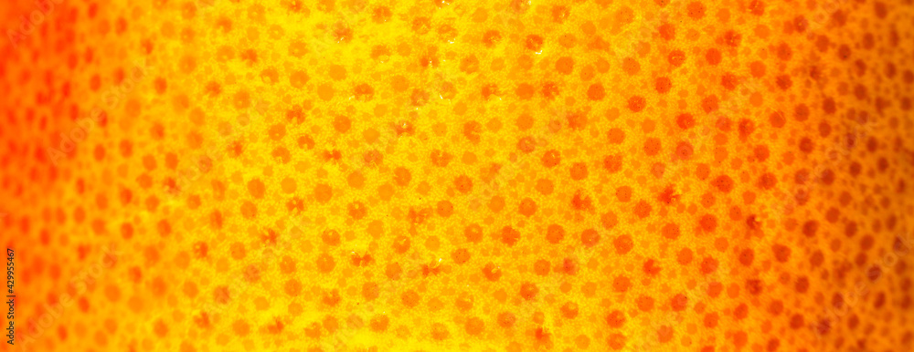 Close up photo of Grapefruit peel texture. Exotic ripe fruit background ... Close up photo of Grapefruit peel texture. Exotic ripe fruit background ...