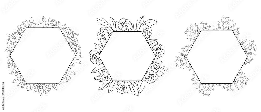 Hexagon Wreath Flower Frame Vector Set Illustration Stock Vector ...