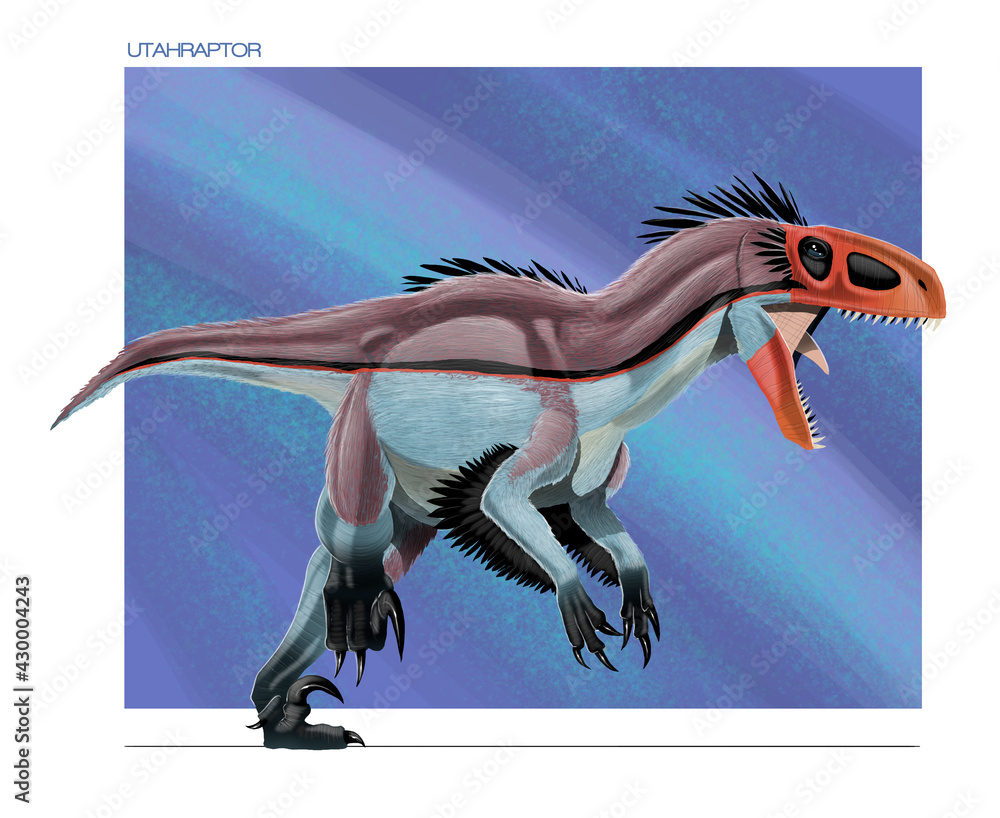 Utahraptor, a deadly predator from the Early Cretaceous Stock ...