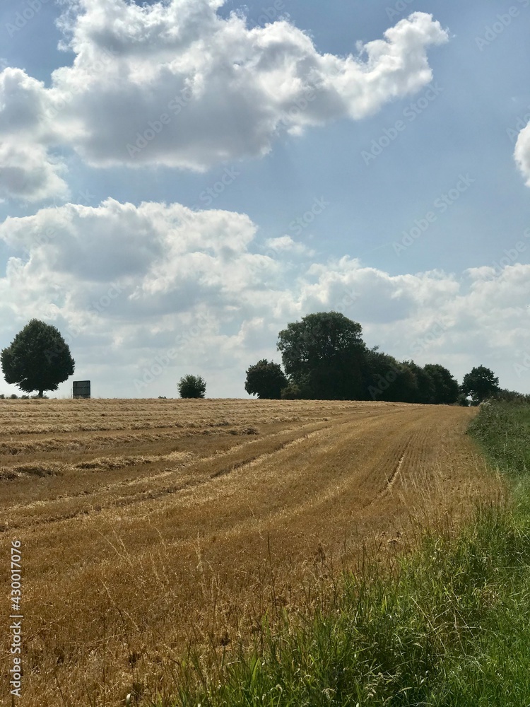 Vertical countryside view of cut corn field trace and small hay stacks ...