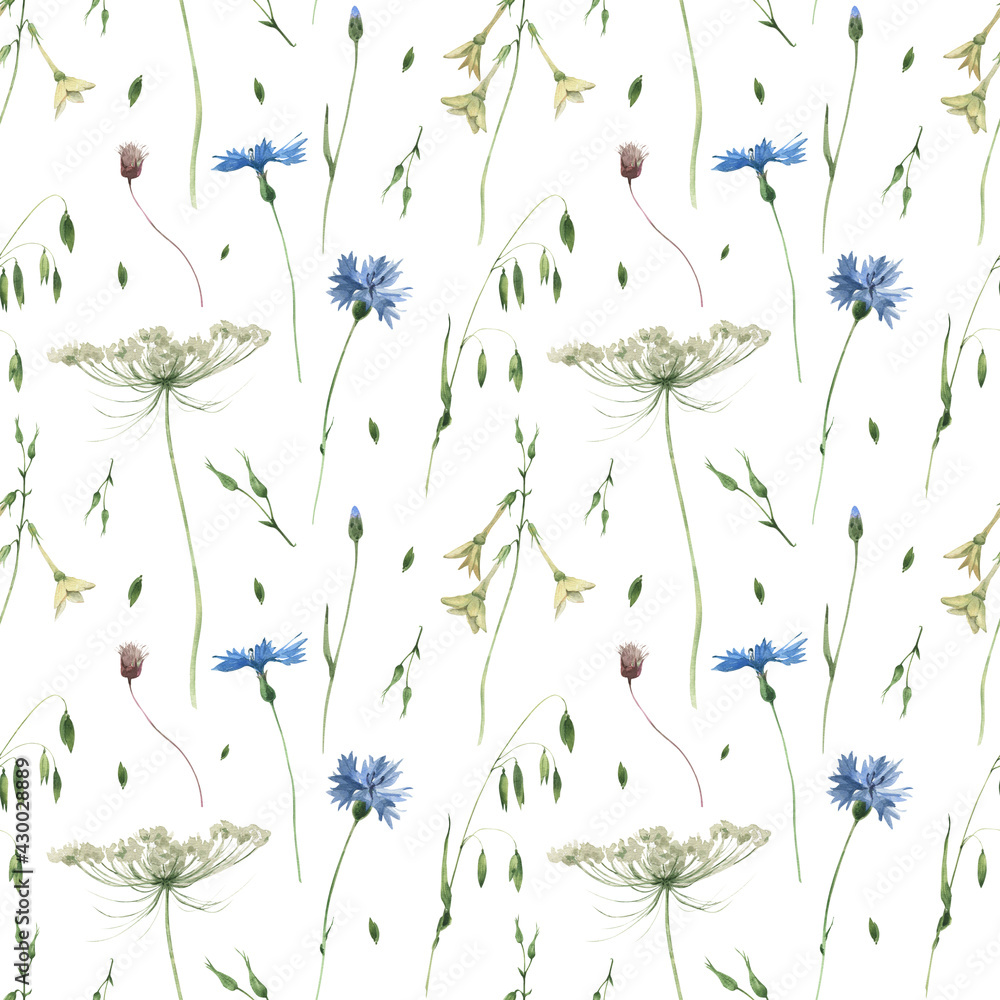 Watercolor wildflowers seamless pattern on white background. Stock ...